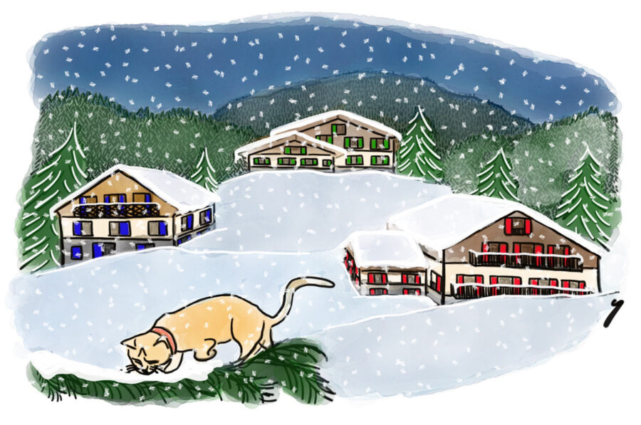 L'univers féérique d'Elisa Querub chez AAllard - AAllard